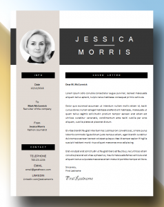 Long Experience CV – Samples • Templates • Get A Free CV